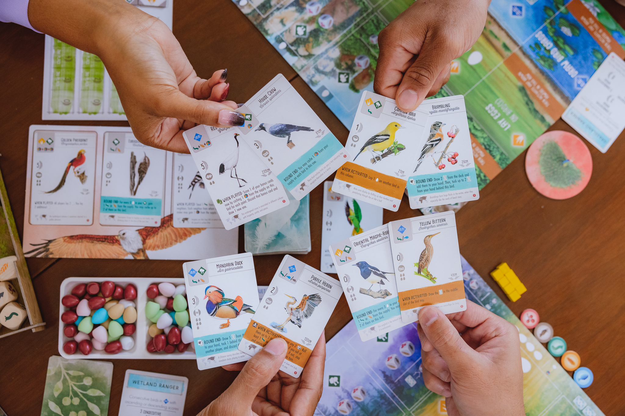 Wingspan Asia - Board Game & Expansion , Stand Alone Game and Expansion ...