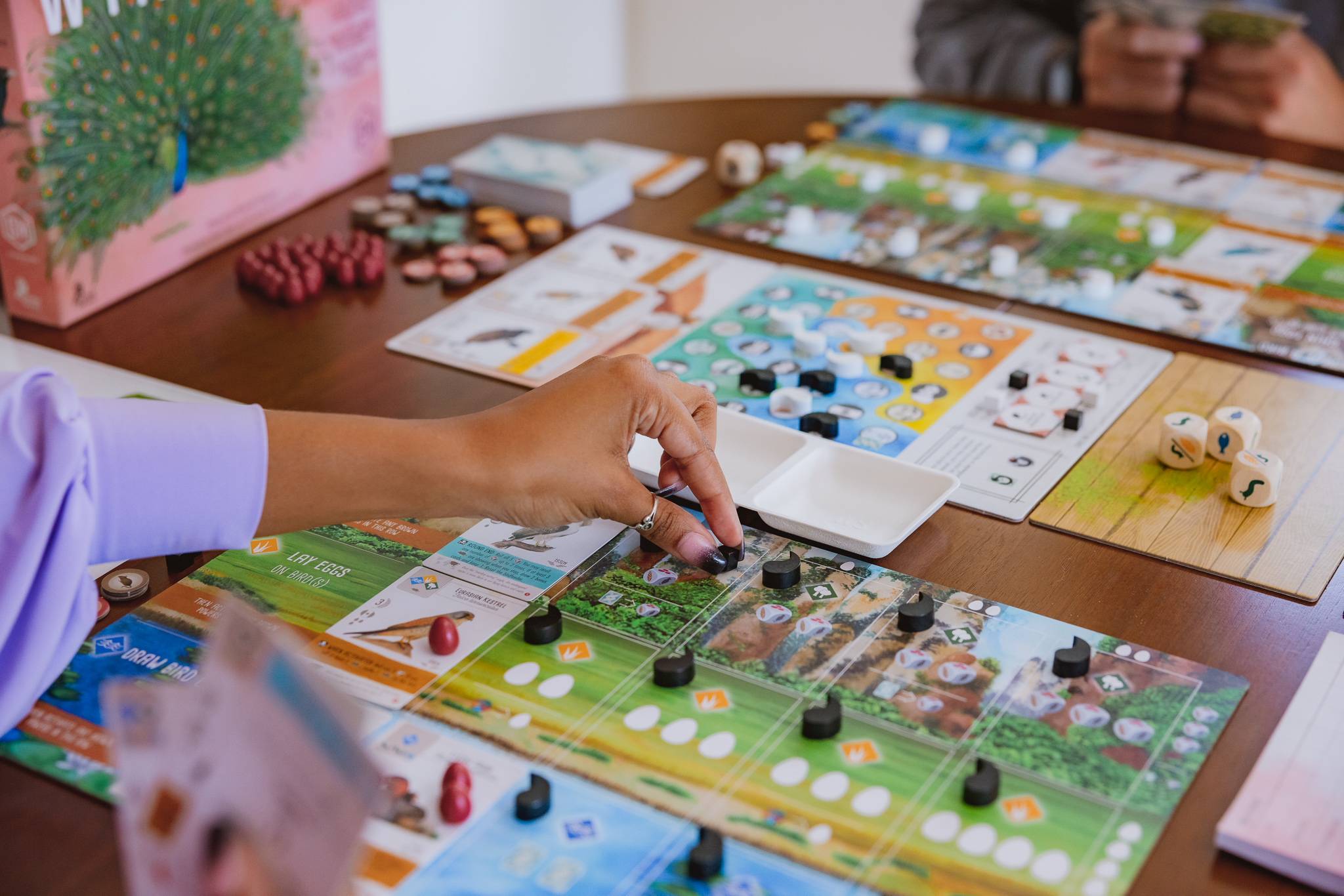 Wingspan Asia - Board Game & Expansion , Stand Alone Game and Expansion ...