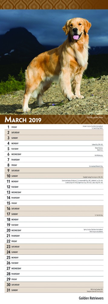 Golden Retrievers 2019 Slimline Wall Calendar, 2019 Wall Calendar by ...