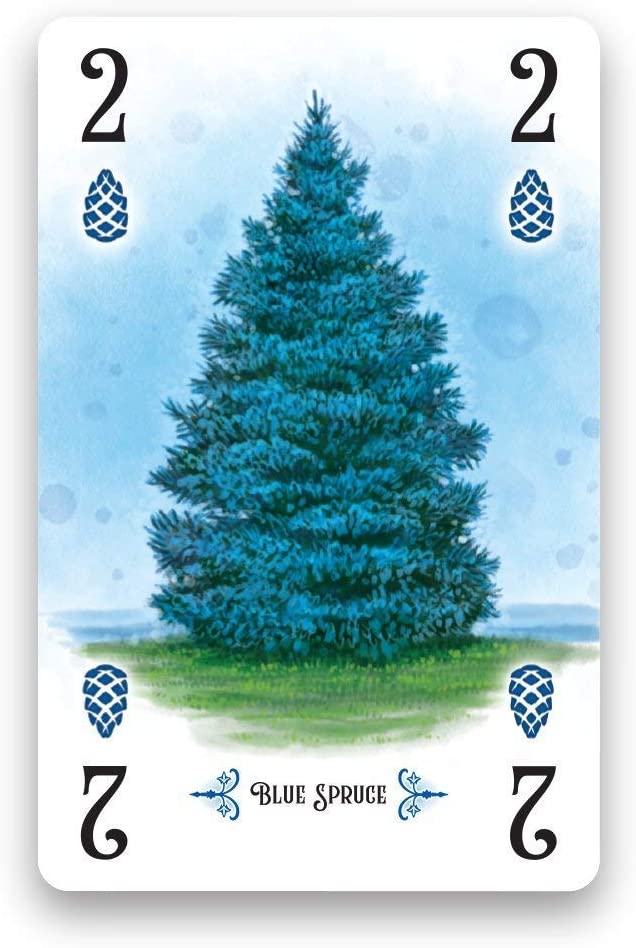 Arboretum - Strategy Card Game, Arboretum by Renegade Game Studios ...
