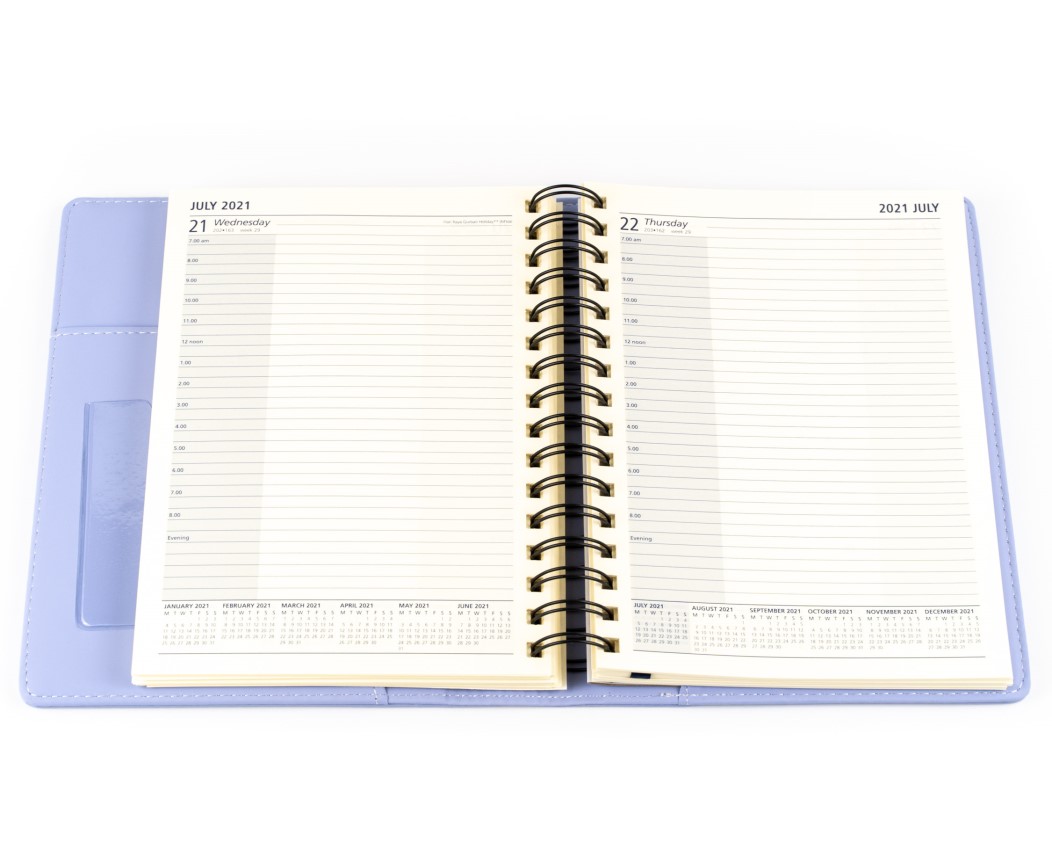 Debden Associate II - 2021 Calendar Year Diary - A5 Day to Page - Light ...