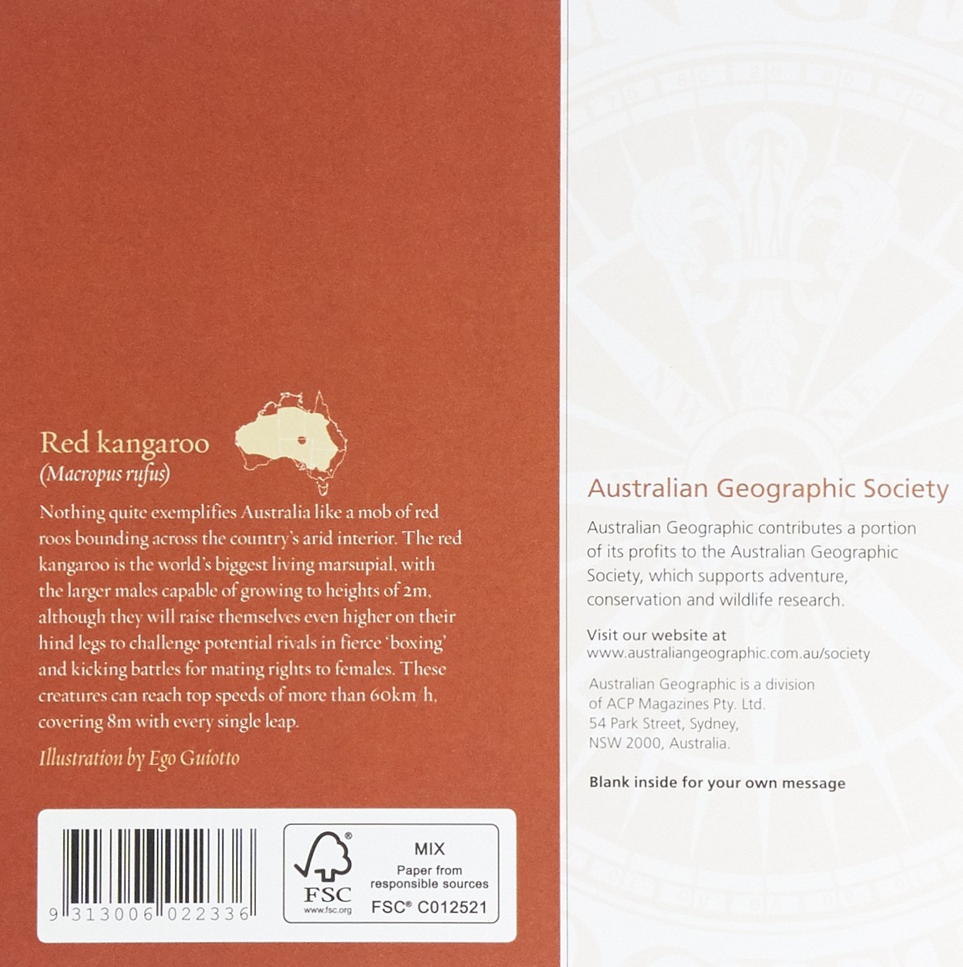 Red Kangaroo Greeting Card by Australian Geographic | 9313006022336 ...