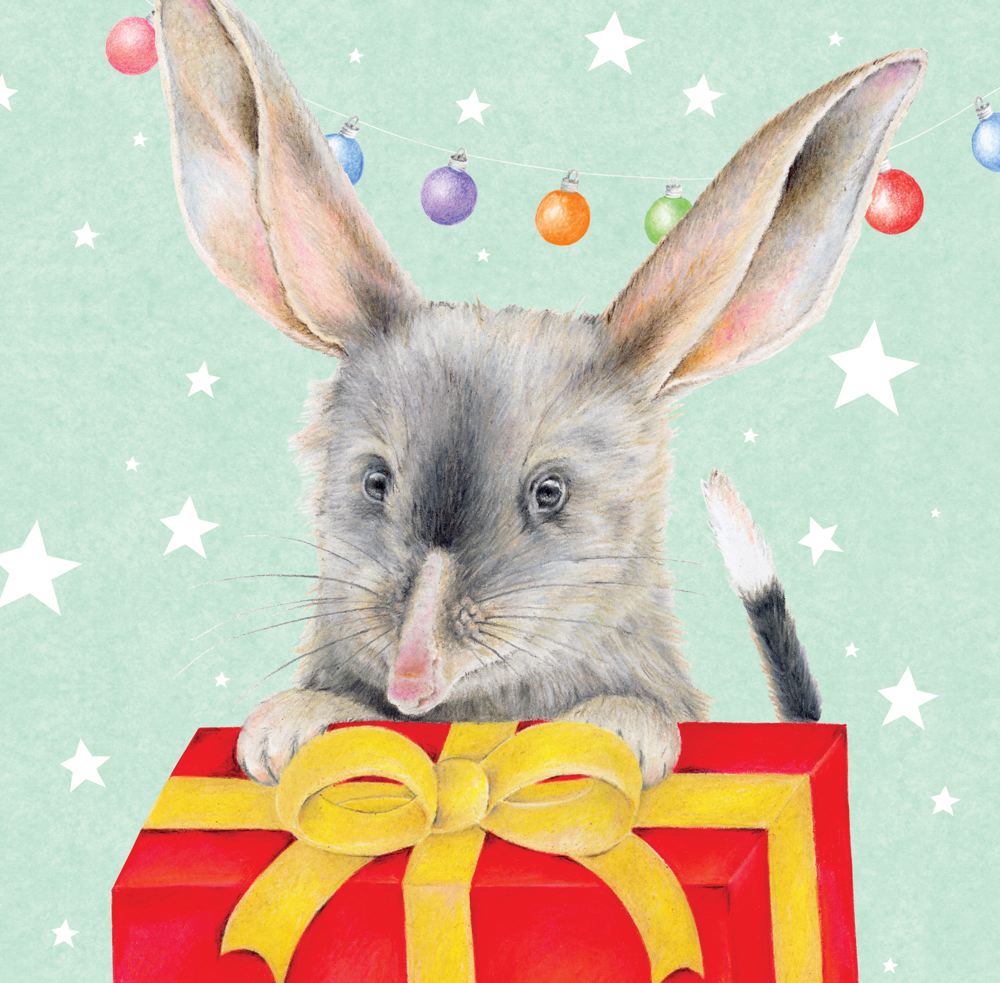 Bilby Present Card Pack, 10 pack of Christmas Cards supporting CMRI by ...