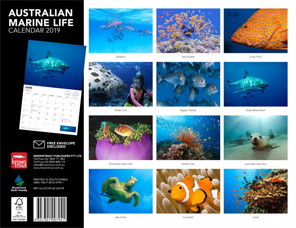 Booktopia - Australian Marine Life 2019 Horizontal Wall Calendar, 2019 ...