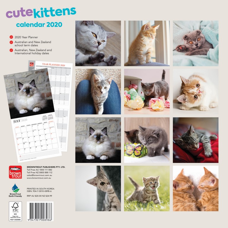 Cute Kittens - 2020 Wall Calendar, 2020 Square Wall Calendar by ...