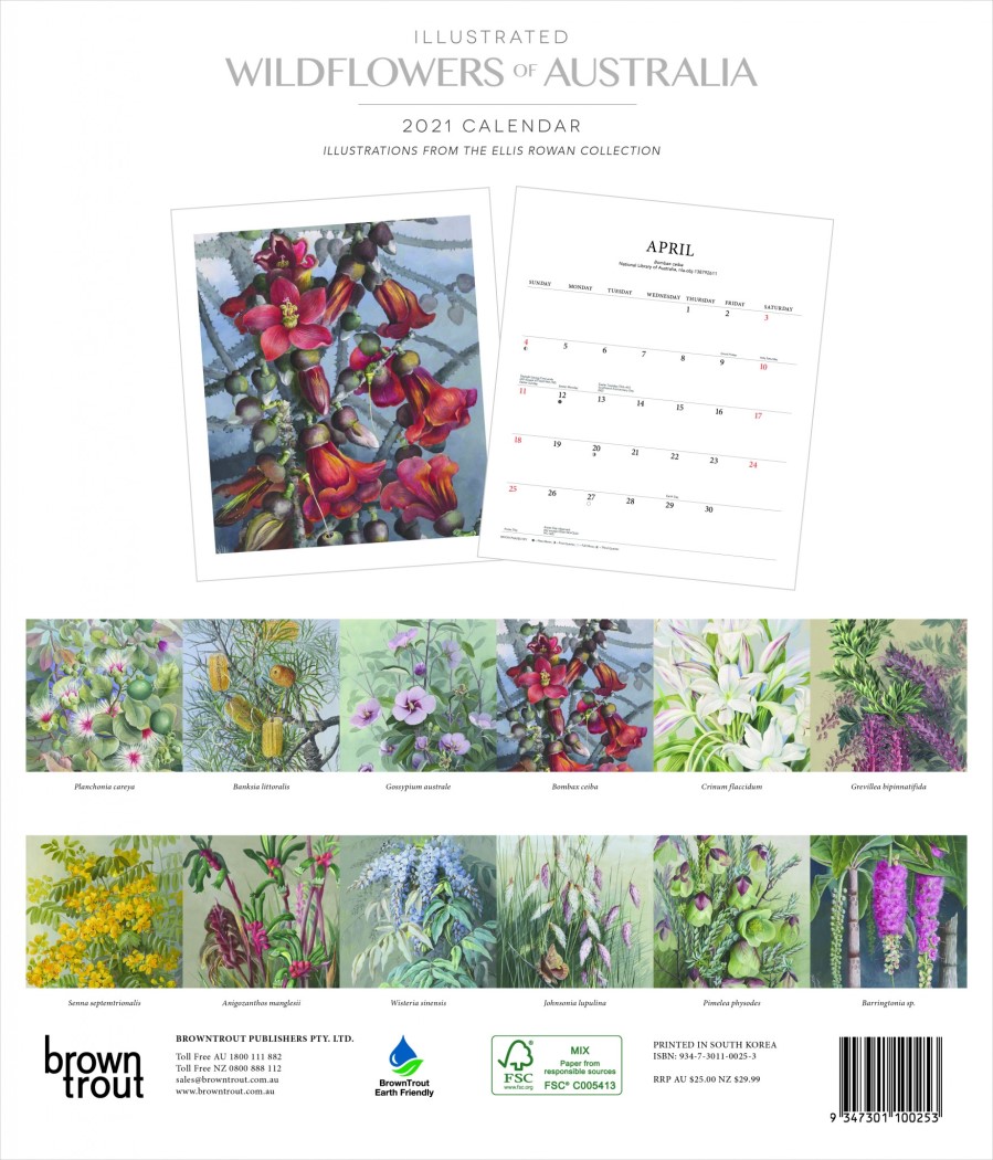 Illustrated Wildflowers of Australia - 2021 Deluxe Wall Calendar by ...