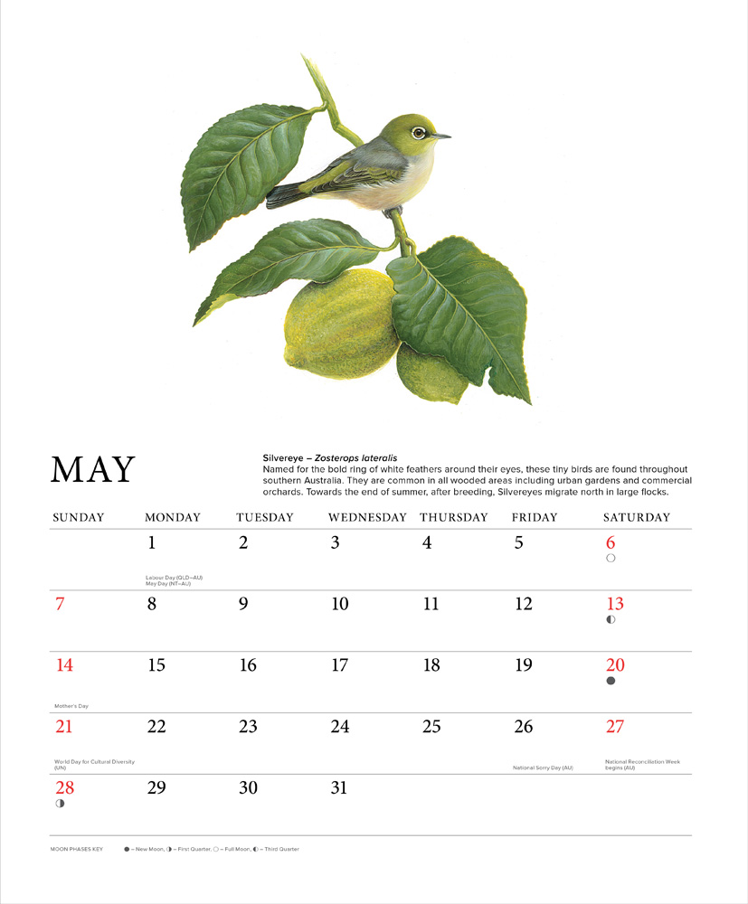 Birds of Australia, The Art of Jeremy Boot - 2023 Deluxe Wall Calendar ...