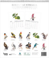 Birds of Australia, The Art of Jeremy Boot - 2023 Deluxe Wall Calendar ...