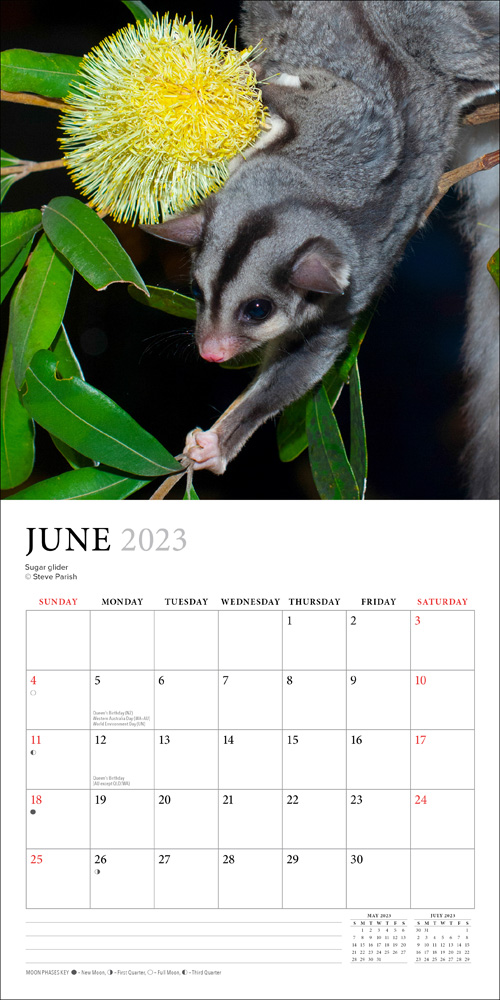 Australian Wildlife - 2023 Mini Wall Calendar, 2023 Wall Calendars by ...