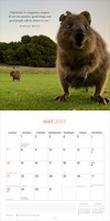 The Quokkas Guide to Happiness - 2023 Wall Calendar by Browntrout ...