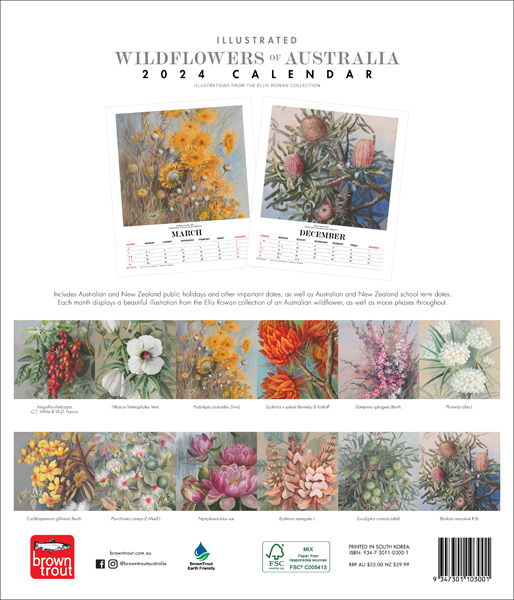 Illustrated Wildflowers of Australia - 2024 Deluxe Wall Calendar by ...