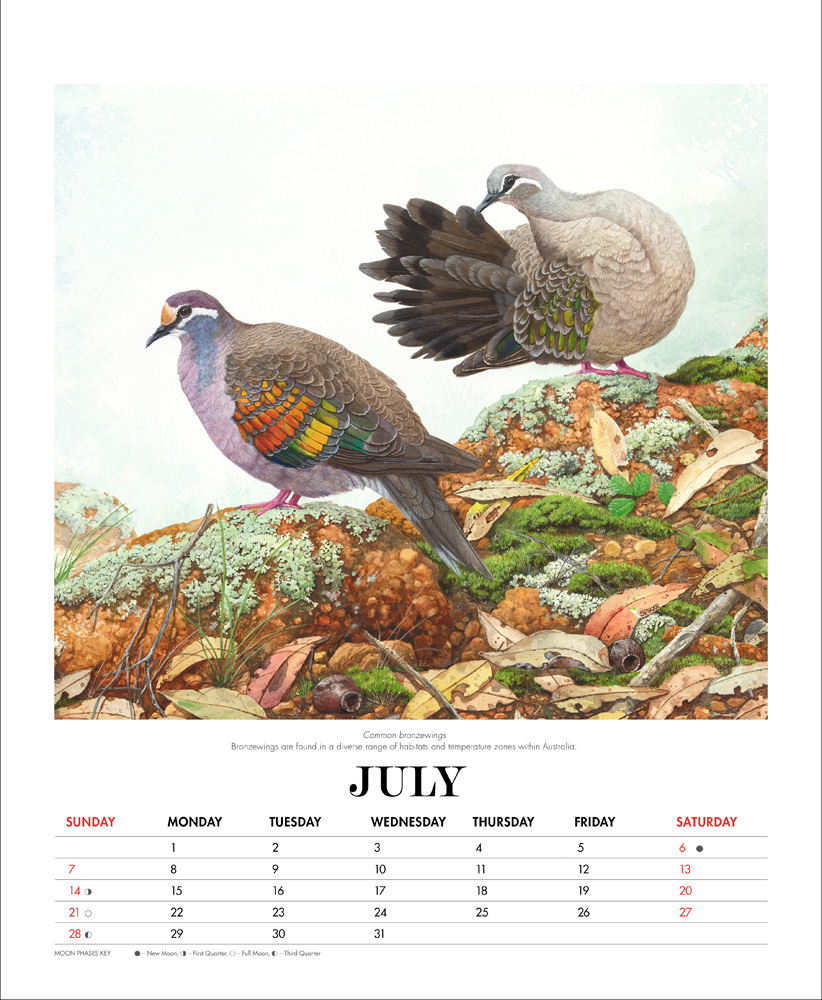Illustrated Birds of Australia - 2024 Deluxe Wall Calendar by ...