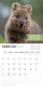 The Quokkas Guide to Happiness - 2024 Wall Calendar by Browntrout ...