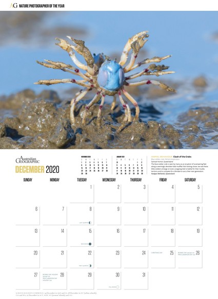 Australian Geographic Nature Photographer of the Year - 2021 Wall ...