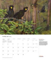 Australian Geographic Art Calendar - 2024 Wall Calendar by Australian ...