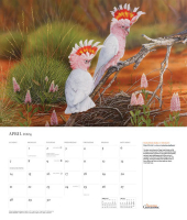 Australian Geographic Art Calendar - 2024 Wall Calendar by Australian ...