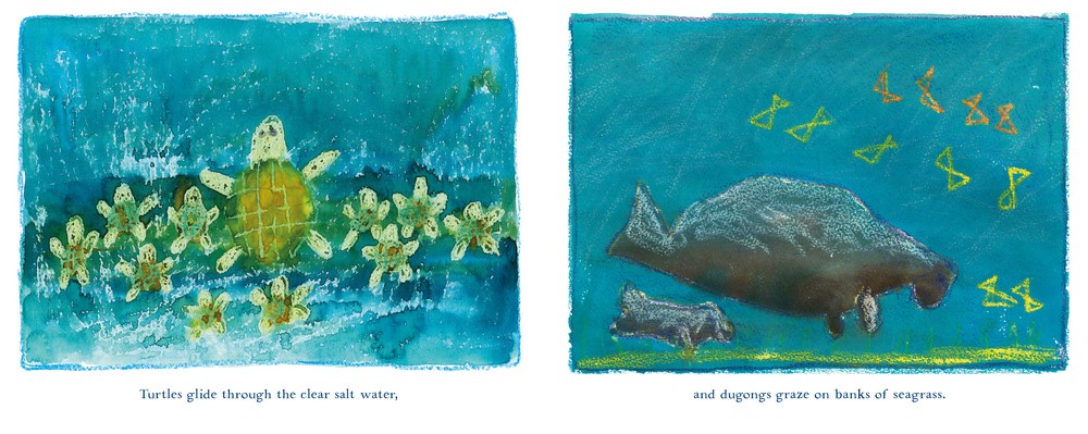 Our Island by Alison Lester | 9780143505938 | Booktopia