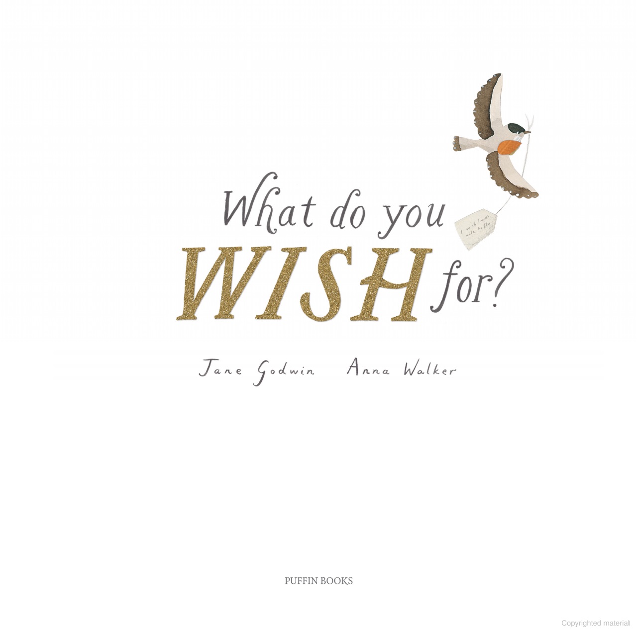 What Do You Wish For? by Jane Godwin | 9780143506249 | Booktopia