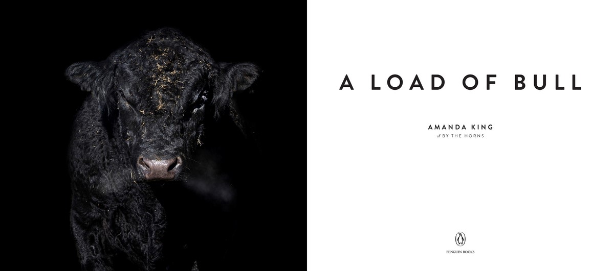 A Load of Bull by Amanda King | 9780143776741 | Booktopia