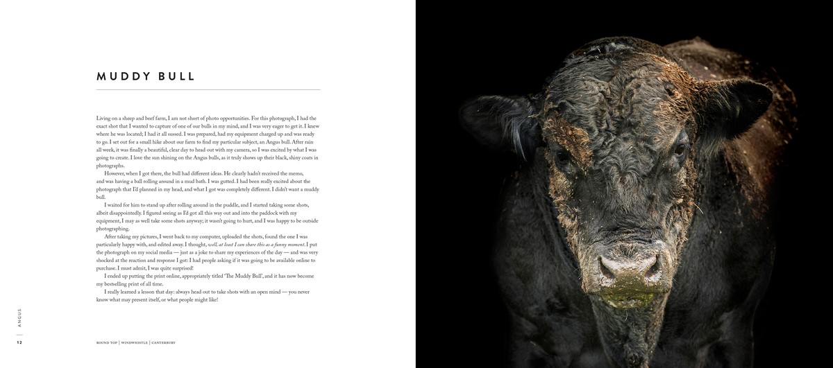 A Load of Bull by Amanda King | 9780143776741 | Booktopia
