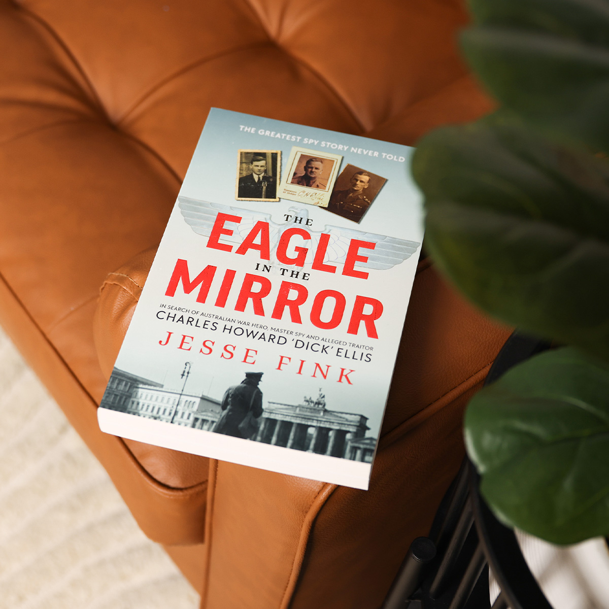 The Eagle in the Mirror by Jesse Fink | 9780143777557 | Booktopia