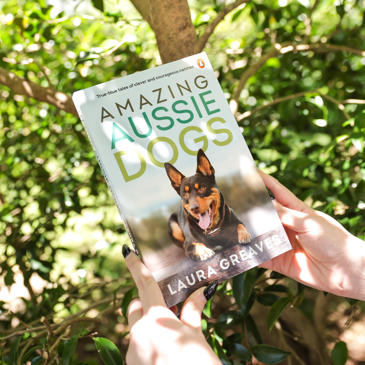 Amazing Aussie Dogs, True Blue Tales of Clever and Courageous Canines ...