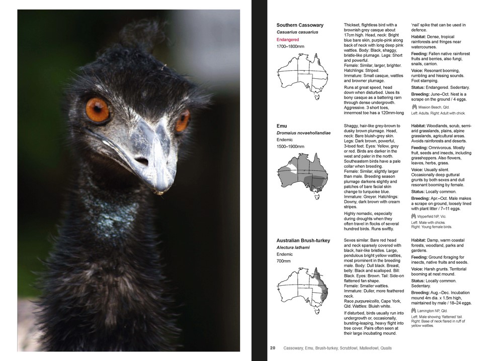 Complete Guide to Australian Birds by George Adams | 9780143787082 ...