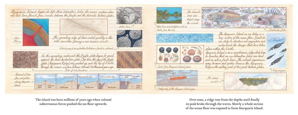 One Small Island by Alison Lester | 9780143789253 | Booktopia