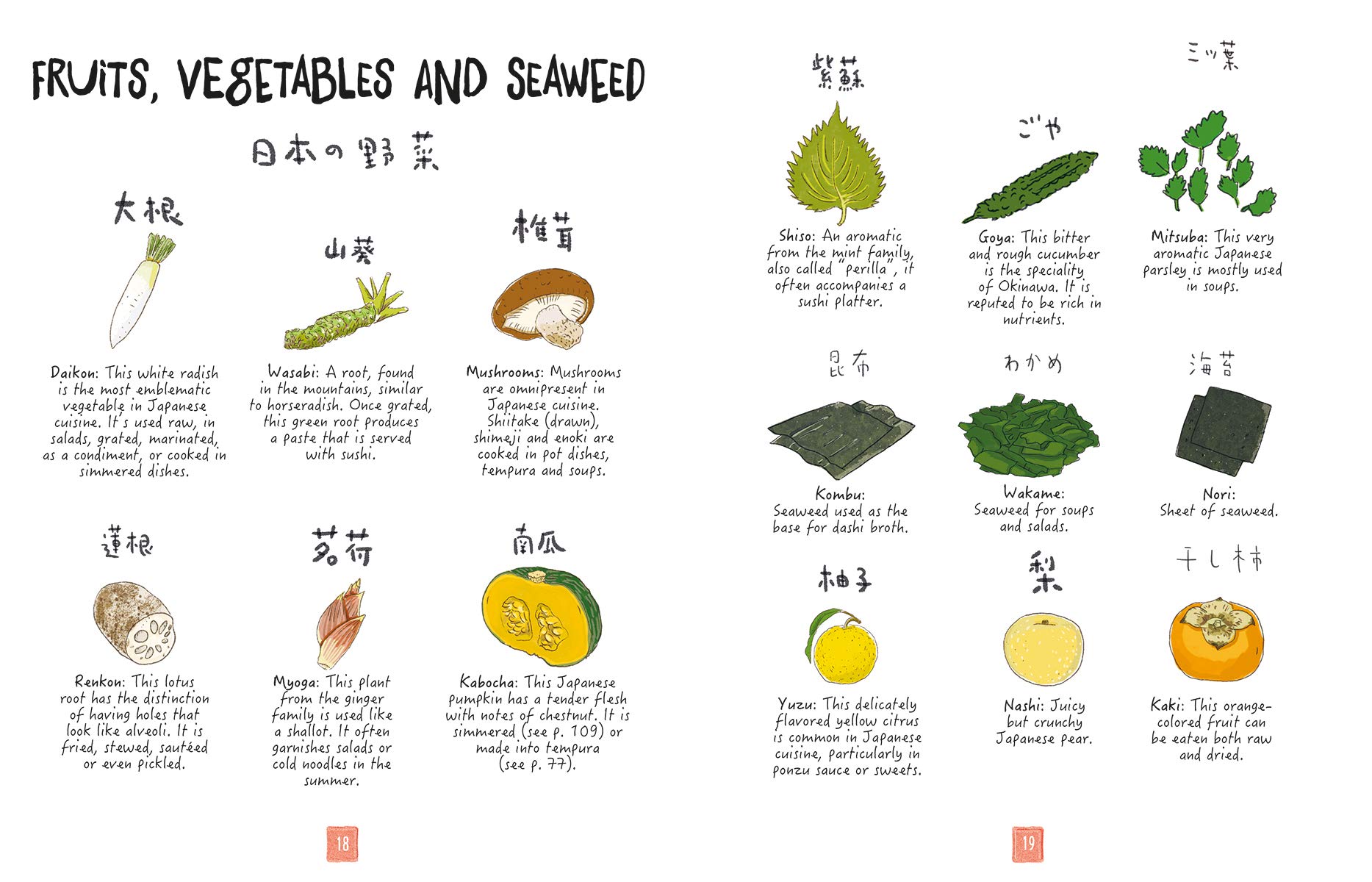 Japanese Cuisine, An Illustrated Guide by Laure Kie | 9780228103196 ...