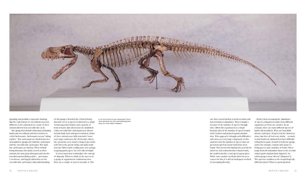 The World of Dinosaurs, Ultimate Photographic Reference Book by Mark A ...