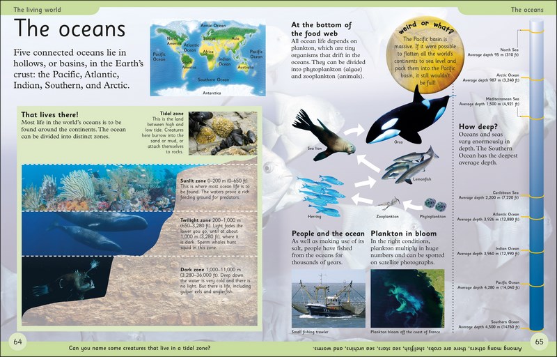 First Earth Encyclopedia, A First Reference Book for Children by DK ...
