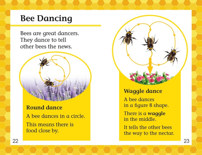 Amazing Bees, DK Readers Level 2 by Sue Unstead | 9780241225073 | Booktopia