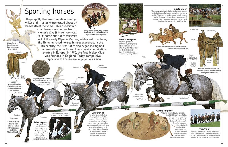 DK Eyewitness : Horse, Discover the world of horses and ponies, from ...