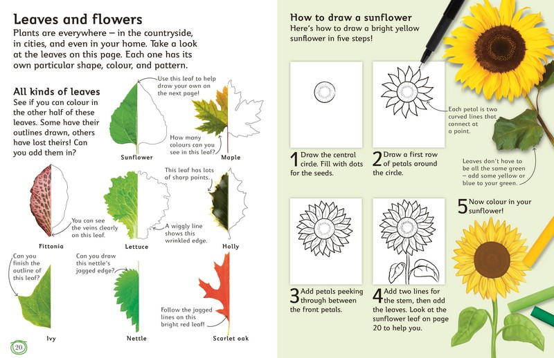 How to Draw by DK | 9780241282489 | Booktopia