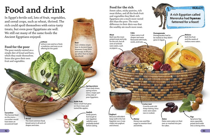 Ancient Egypt, DK Find Out! Series by DK | 9780241282779 | Booktopia