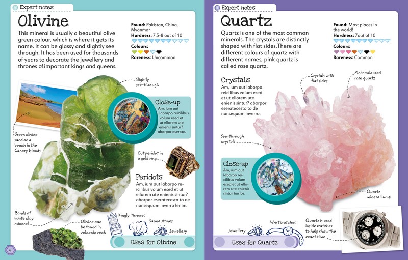 My Book of Rocks and Minerals by DK | Things to Find, Collect, and ...