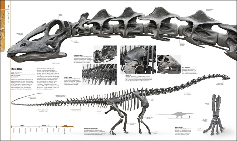 Dinosaurs and Prehistoric Life, The Definitive Visual Guide by DK ...