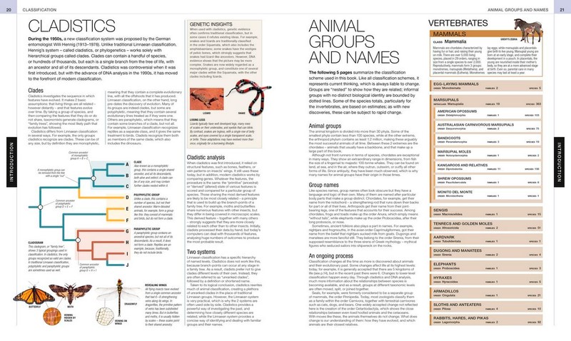 Animal, The Definitive Visual Guide by DK | 9780241298848 | Booktopia