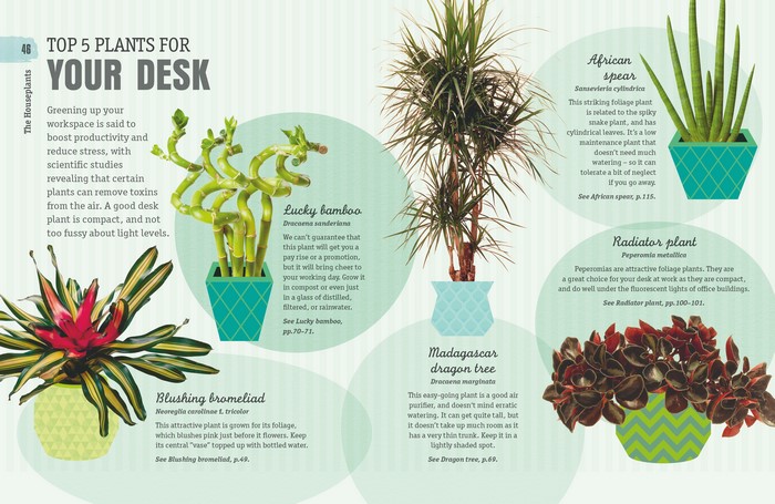 How Not To Kill Your House Plant, Survival Tips for the Horticulturally ...
