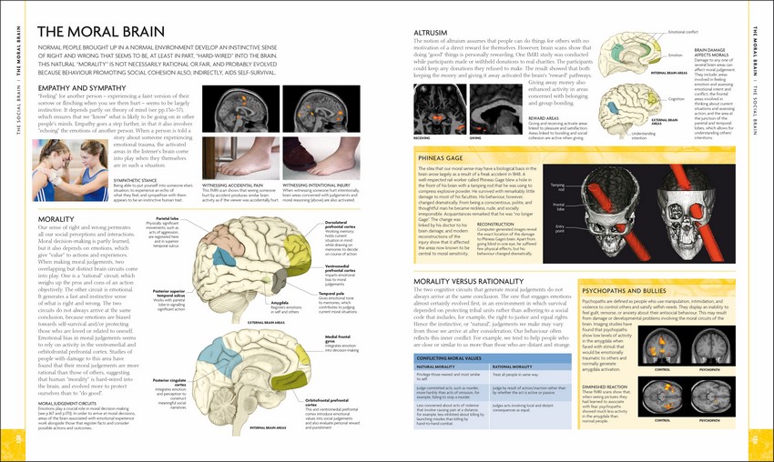 The Brain Book, An Illustrated Guide to its Structure, Functions, and ...