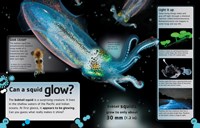 The Bacteria Book by DK | Gross Germs, Vile Viruses, and Funky Fungi ...