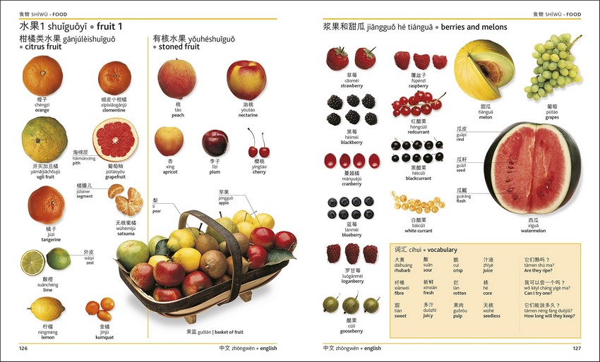 Mandarin Chinese English Bilingual Dictionary, Visual by DK ...