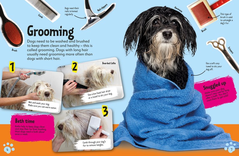 The Everything Book of Dogs And Puppies by DK | 9780241320099 | Booktopia