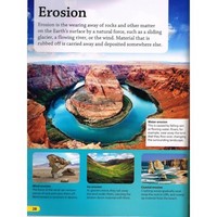 DK findout! Earth by DK | What do you want to find out? Fun Facts and ...