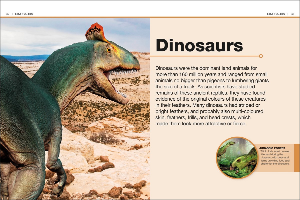Pocket Eyewitness : Dinosaurs, Facts at Your Fingertips by DK ...