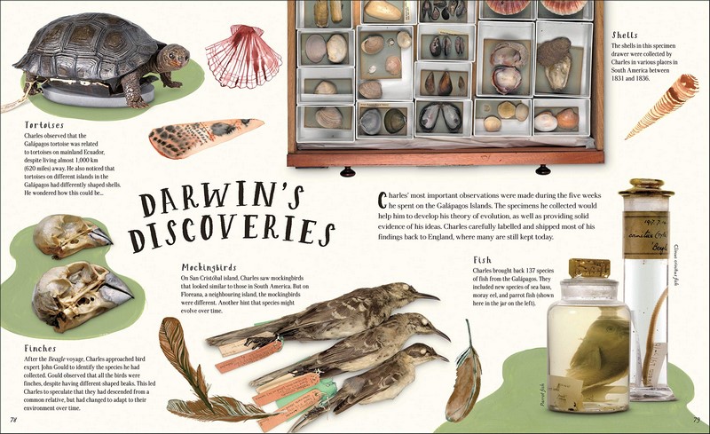 Explorers, Amazing Tales of the World's Greatest Adventurers by DK ...