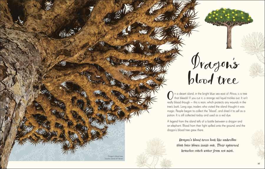 The Wonders Of Nature by DK | 9780241386217 | Booktopia