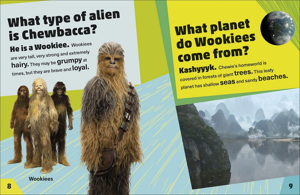 Star Wars Meet The Heroes : Chewbacca by DK | 9780241387795 | Booktopia