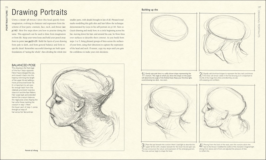 Drawing for the Artist by Sarah Simblet | An Innovative, Practical ...