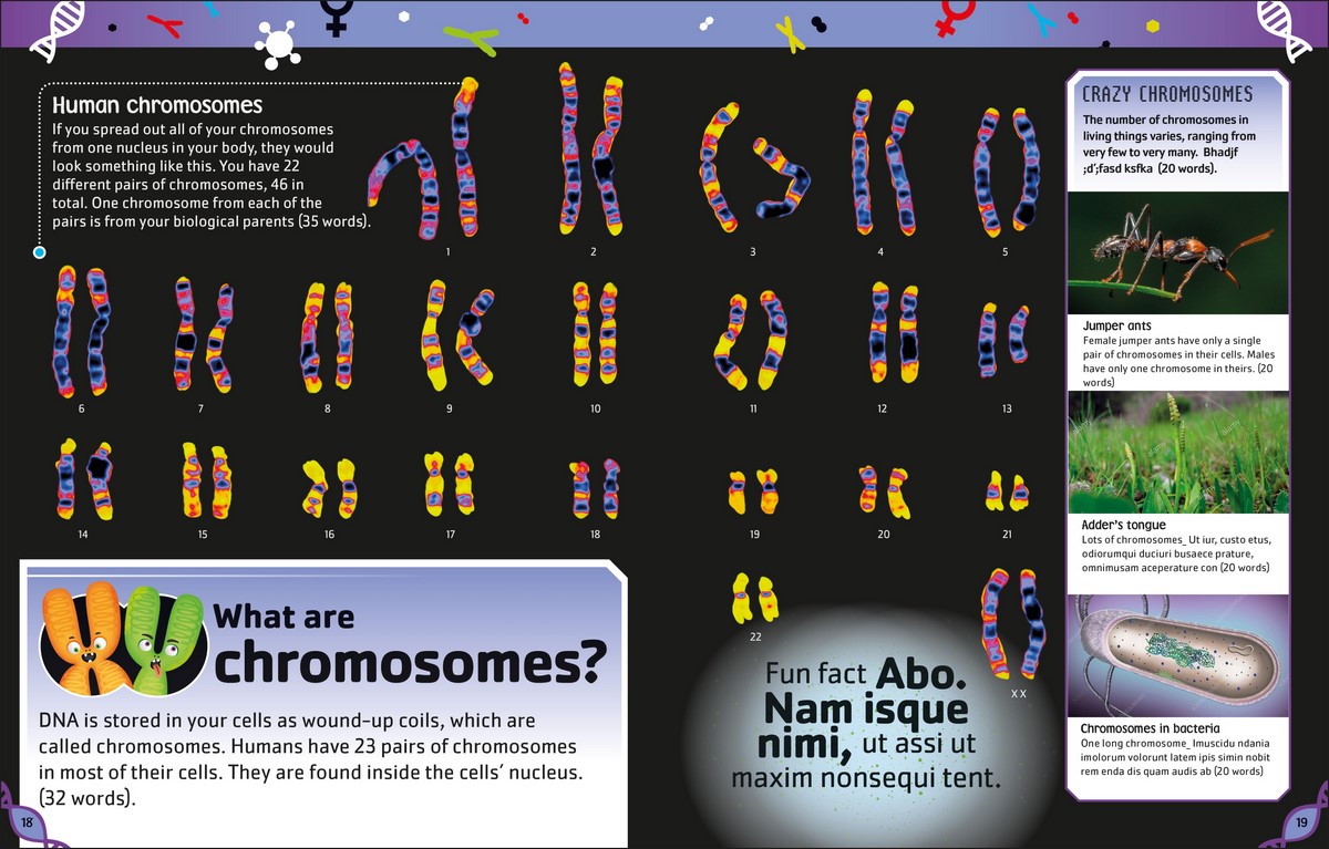 The DNA Book, Discover what makes you you by DK | 9780241411018 | Booktopia